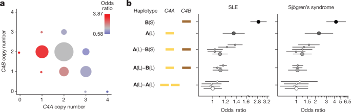 Complement Genes Contribute Sex Biased Vulnerability In Diverse Disorders Global Research 